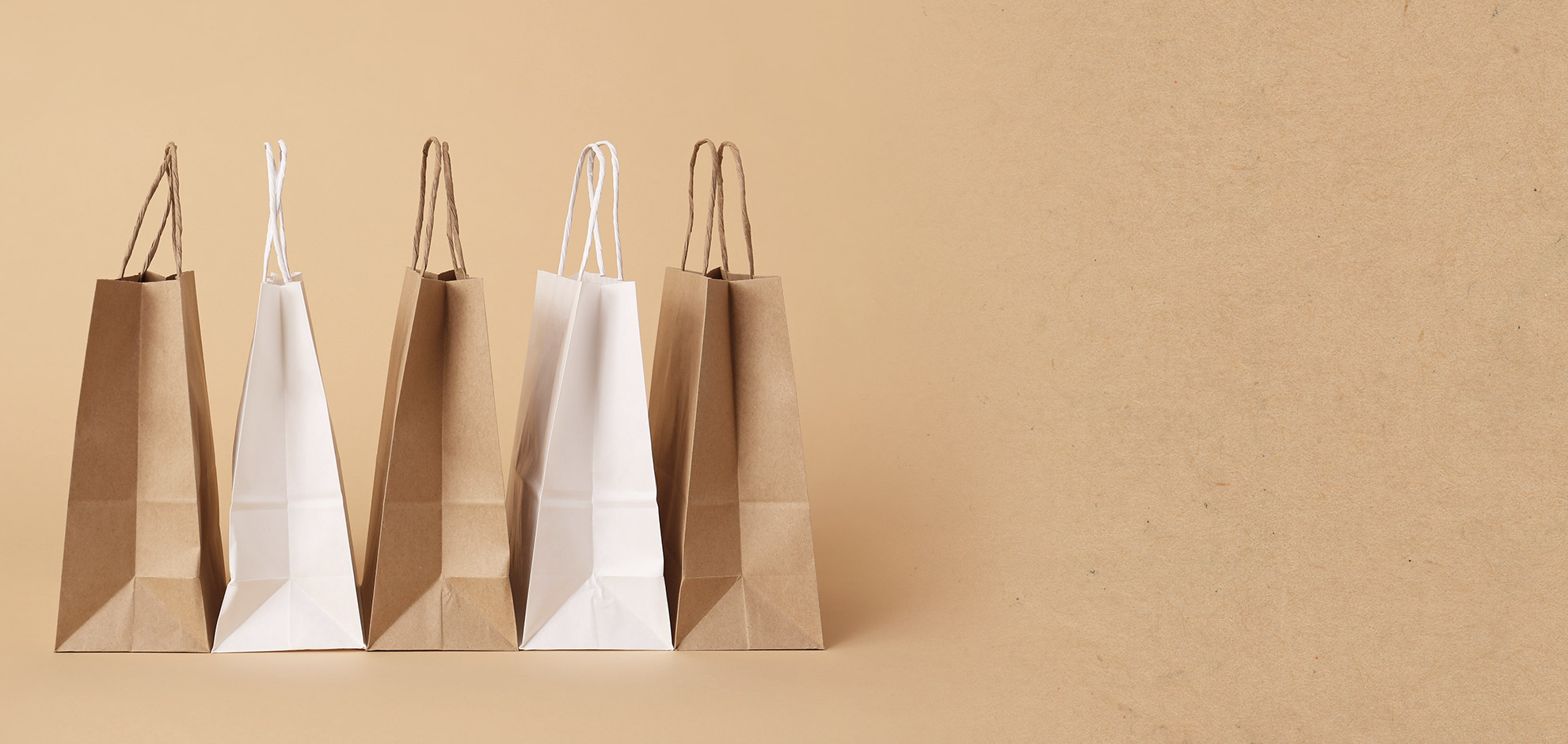 Bag Factory - Bags | Cartons | Corrugated Cartons